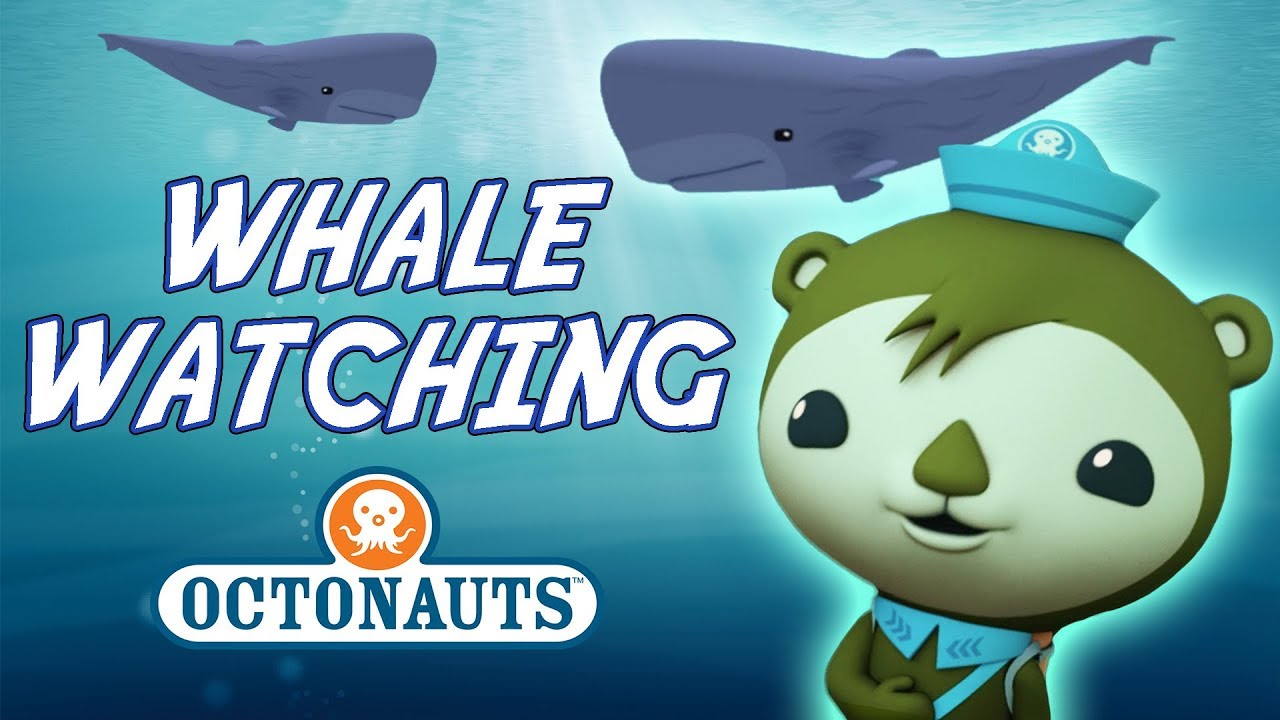 Octonauts - Whale Watching | Cartoons for Kids | Underwater Sea ...