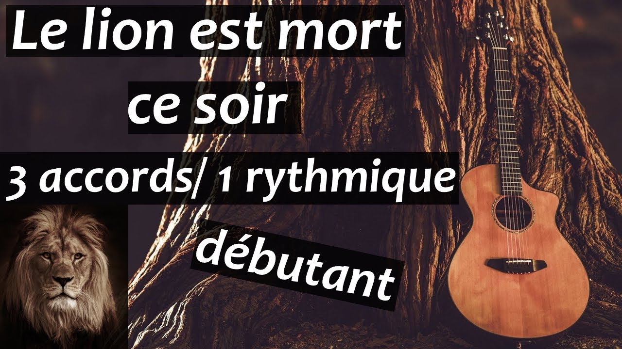 Le lion est mort ce soir - tuto guitare pour débutants - YouTube