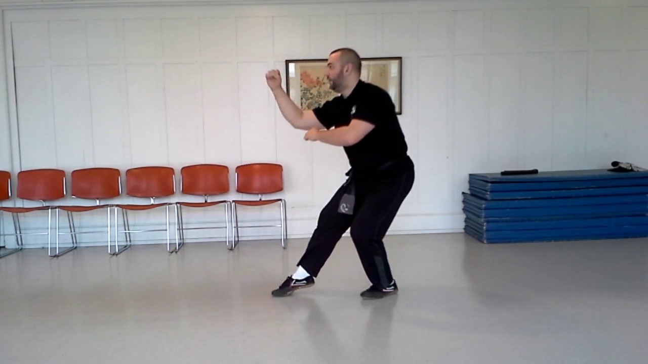 Basics Cat Stance Reverse Step - YouTube