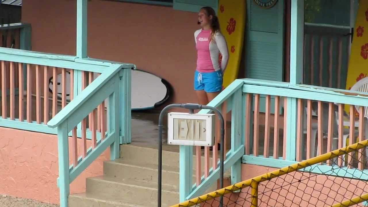 Flipper Show - Part 1 - YouTube