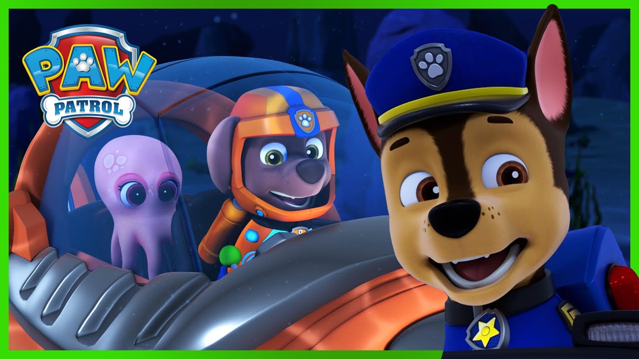 Chase Solves a Museum Mystery - PAW Patrol Rescue Episode - Cartoons ...