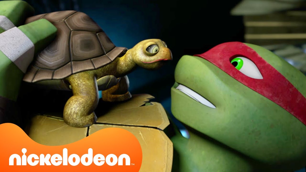 TMNT: Teenage Mutant Ninja Turtles | De Turtles adopteren huisdieren! 🐢 ...