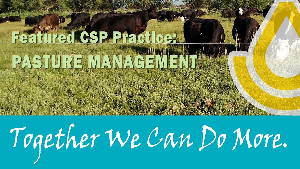 CSP: Pasture Management - YouTube