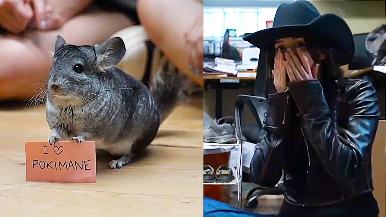 Pokimane Was Shocked When Maya Did This Youtube 9389