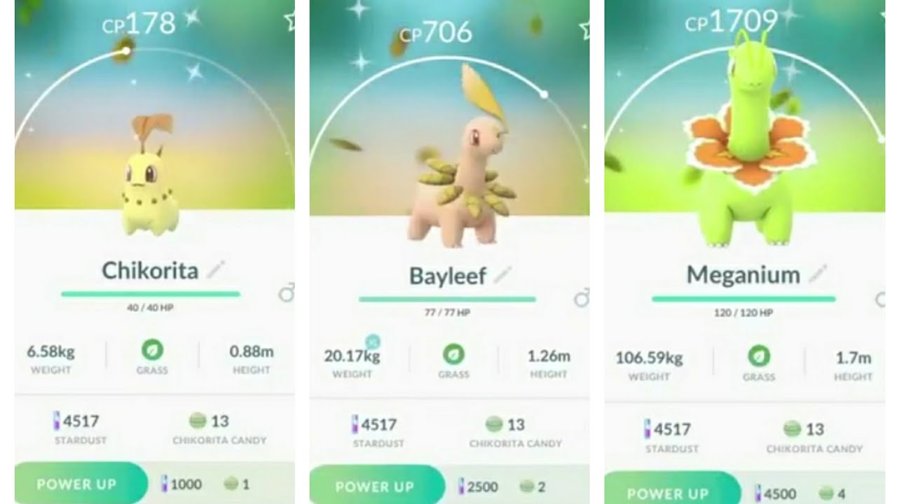 Shiny Chikorita Coming Next Community Day Niantic Confirm Pokémon Go Youtube