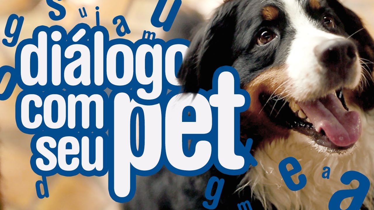 Como se comunicar com seu pet? - YouTube