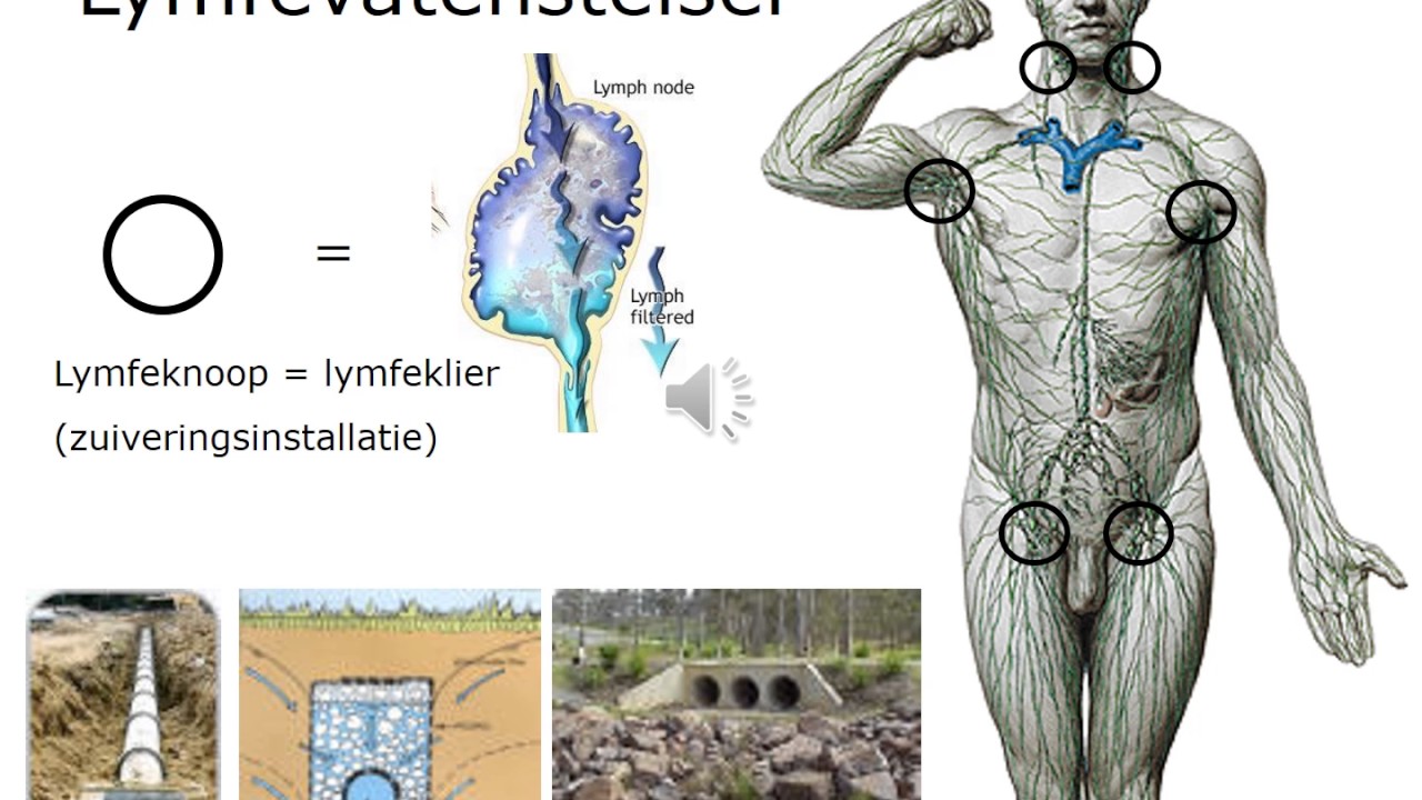 Dehydratie en vochthuishouding - YouTube