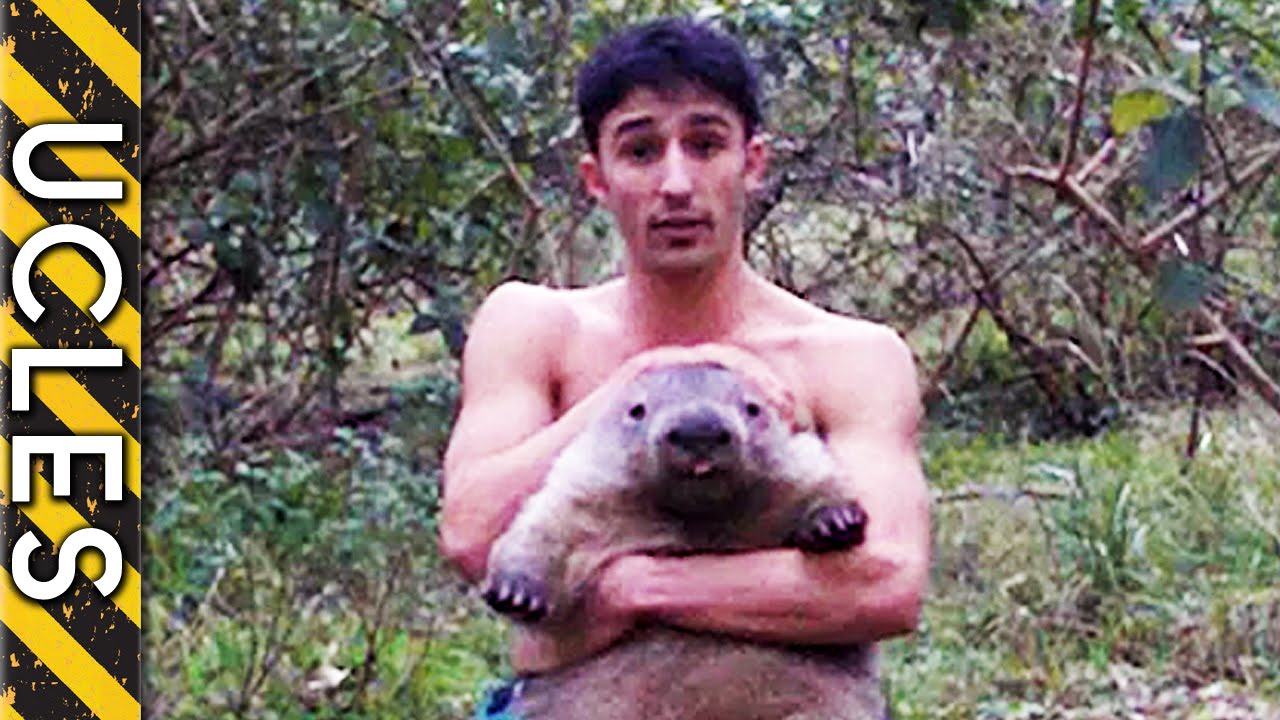 Wombat attack inside tunnel - YouTube