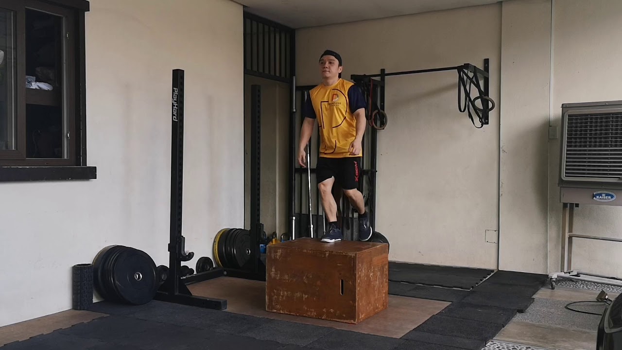 Dauntless Training - Russian Step Ups - YouTube