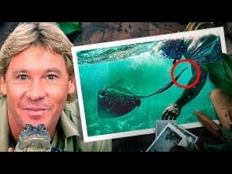 The Final Moments Of Steve Irwin Before His Death! - YouTube
