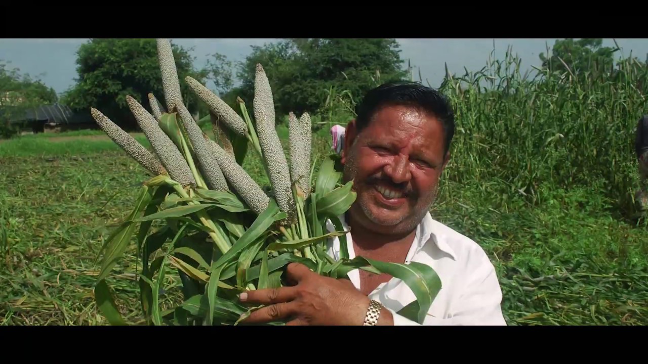 Mahatma Phule Krishi Vidyapeeth, Rahuri Documentary in English - YouTube