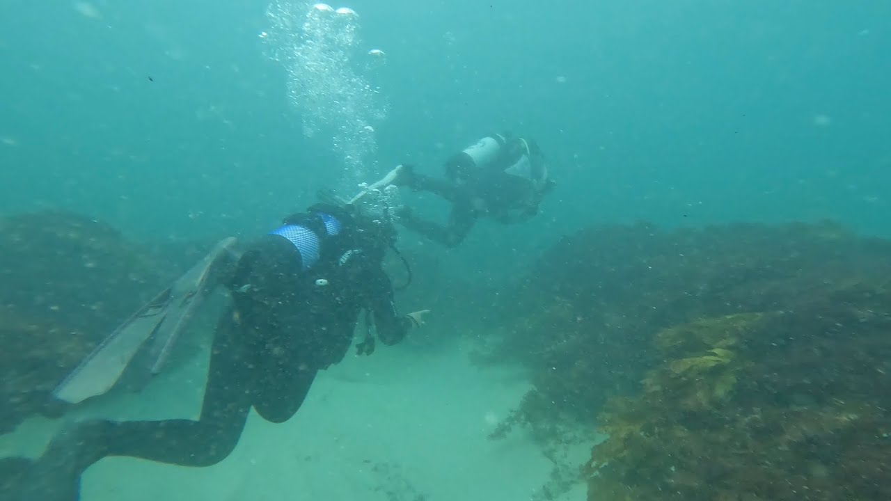 Scuba - Mettams Pool, March 2023 - YouTube