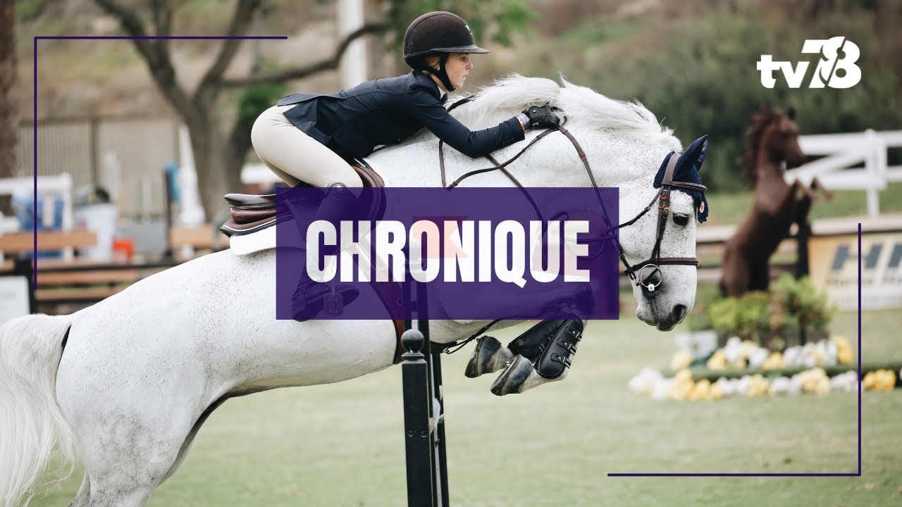 JO 2024 : on vous explique le concours complet d’équitation - YouTube