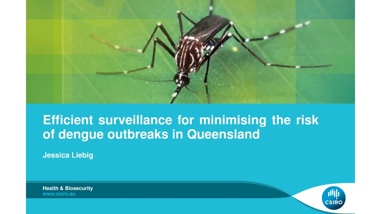 Efficient Surveillance for minimising the risk of dengue outbreaks in ...