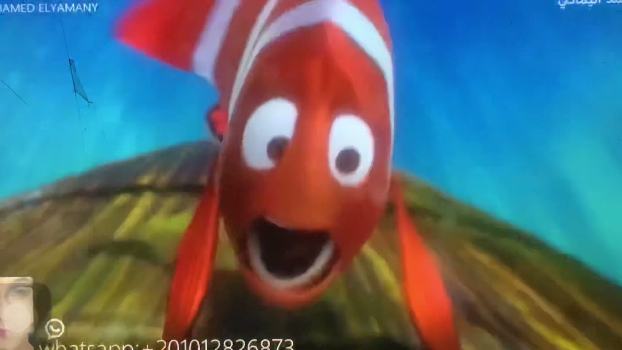 Finding Nemo righteous in Arabic - YouTube