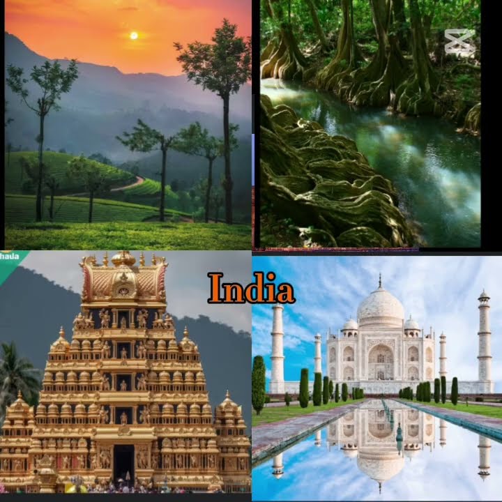 "India is beautiful,just that people look at the undeveloped places ...