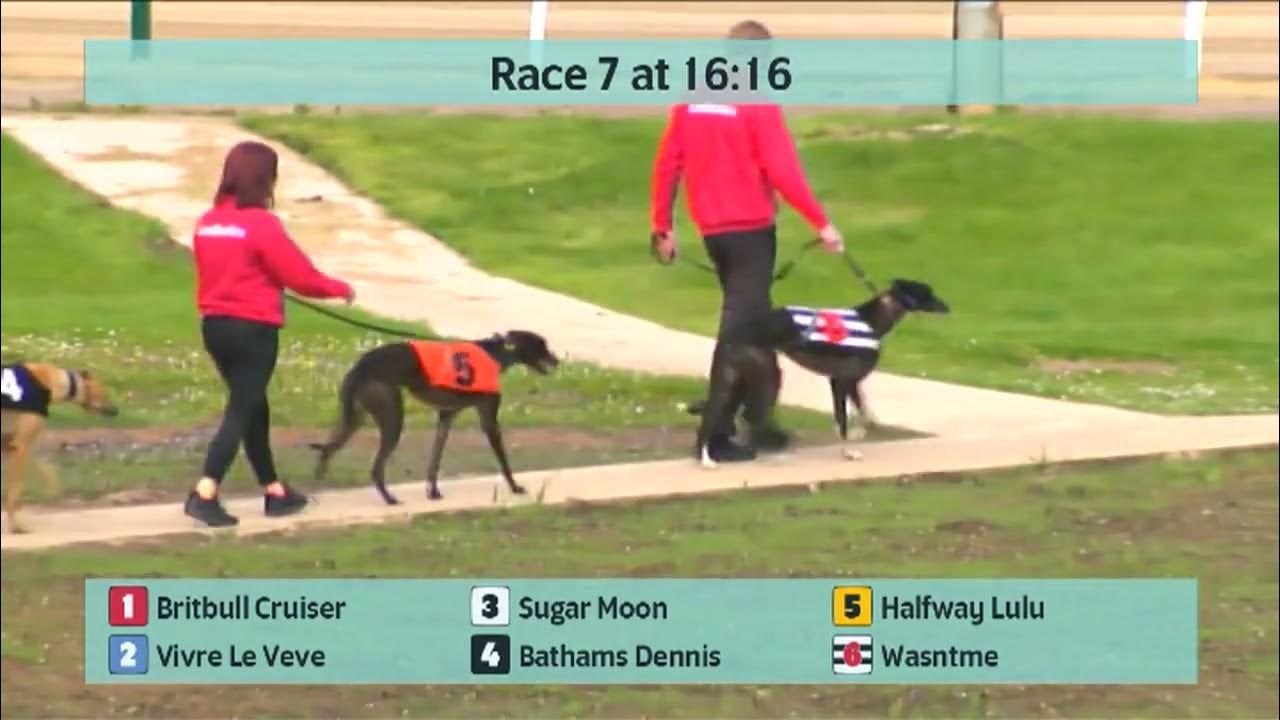 Monmore Greyhounds Races on 27th May 2024 - YouTube Monmore Greyhounds Races on 27th May 2024 - YouTube