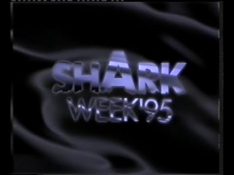 The Discovery Channel- "Shark Week 95" -(Among the Whale Sharks) with ...