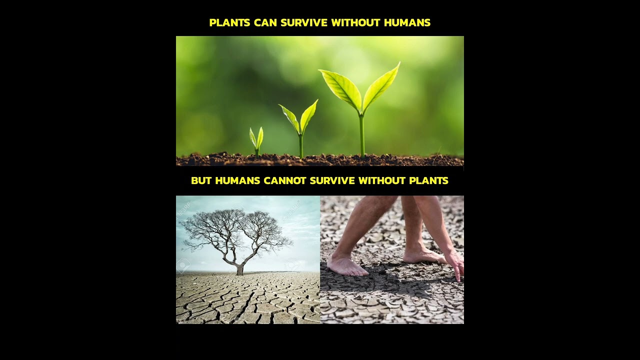 Humans Agree 😈 #shorts #plants #memes - YouTube