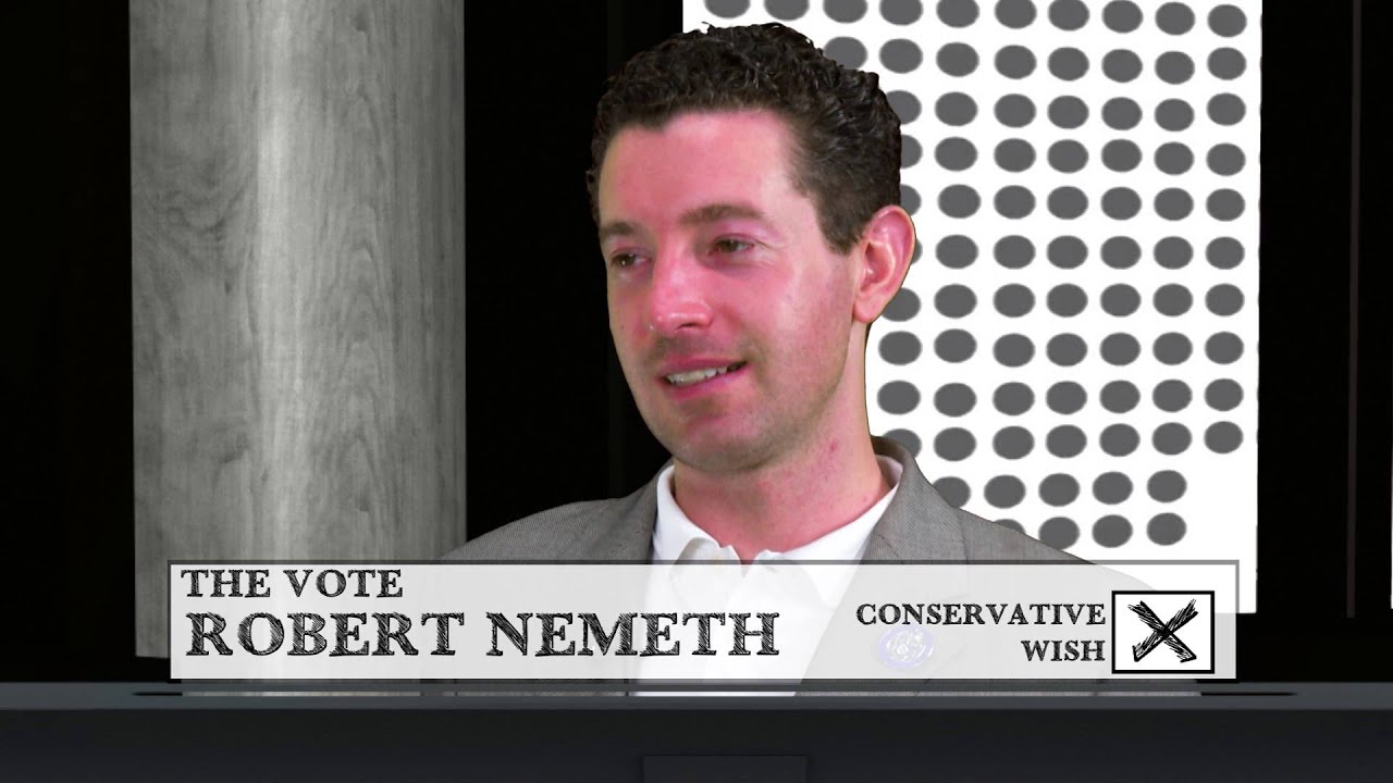 THE VOTE: Cllr Robert Nemeth on the King Alfred in Hove - YouTube