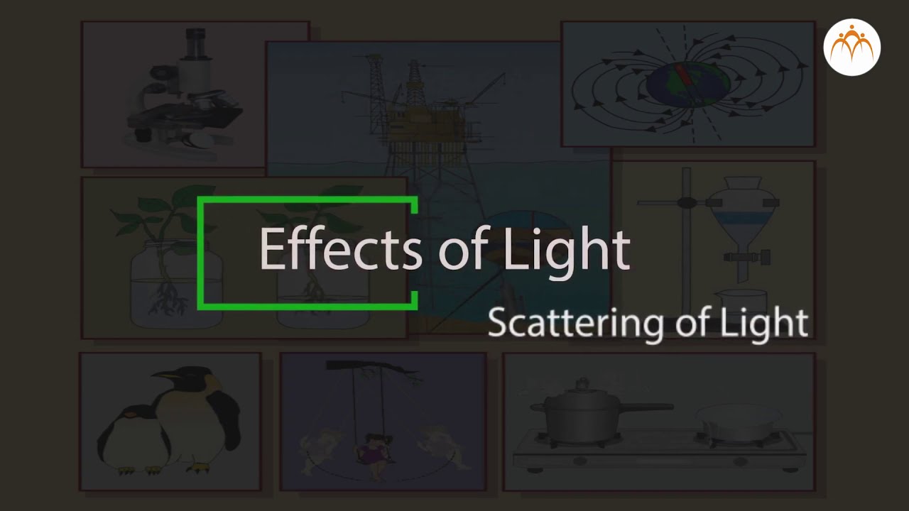 Science || Effects of Light - Scattering of Light - YouTube