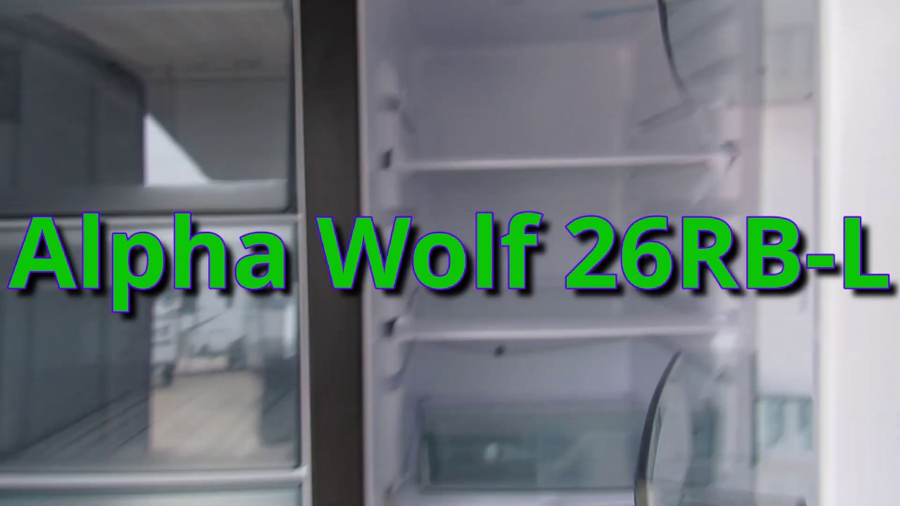 2021 Alpha Wolf 26RB-L Travel Trailer - YouTube