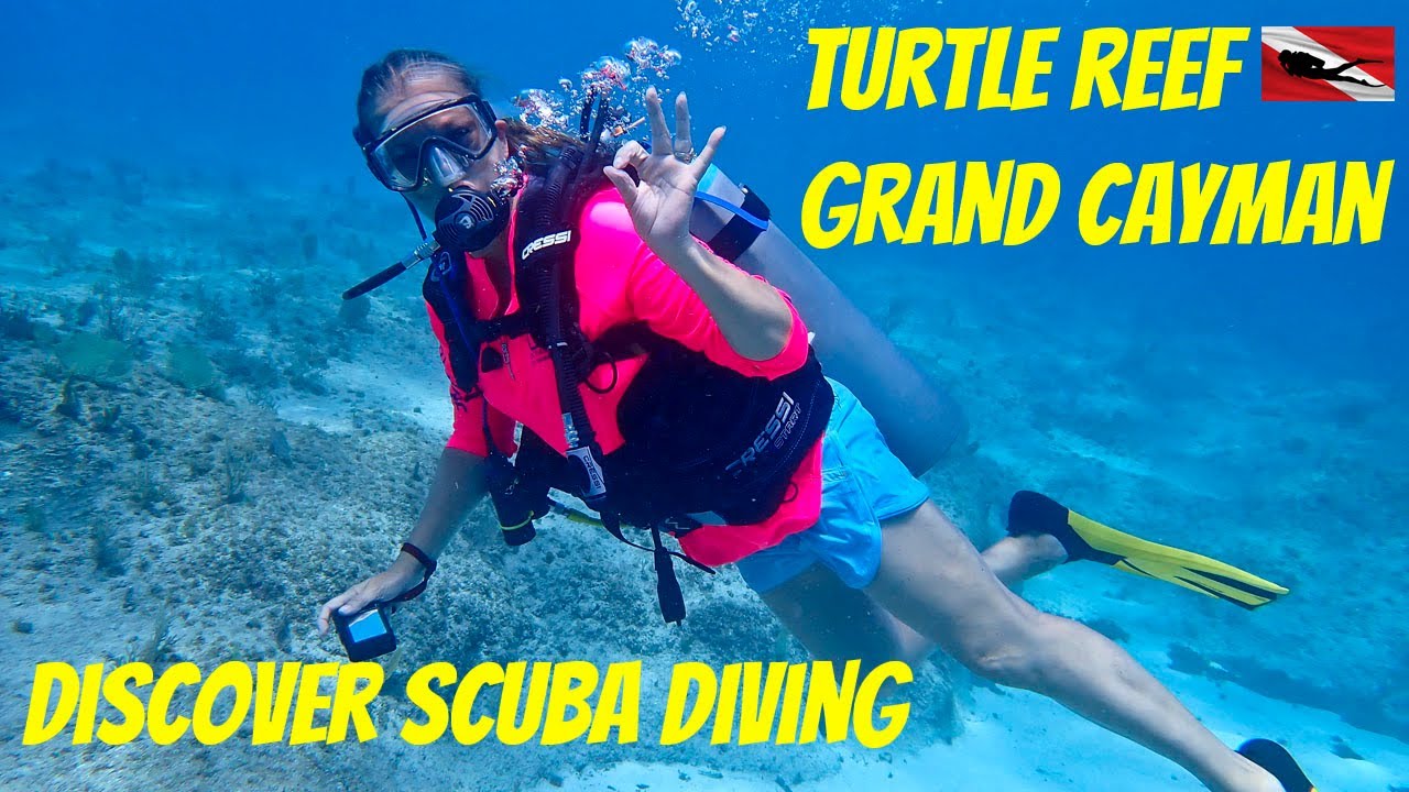 Diving Turtle Reef in Grand Cayman - YouTube