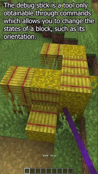 Minecraft Facts #116 - Debug Stick - YouTube