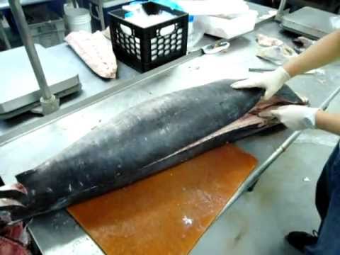 How to filet a swordfish - YouTube