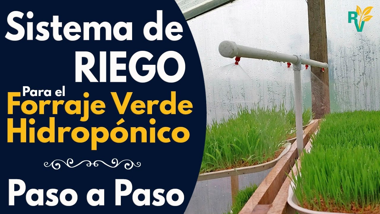 Sistema de Riego para (FVH) Forraje Verde Hidropónico - YouTube
