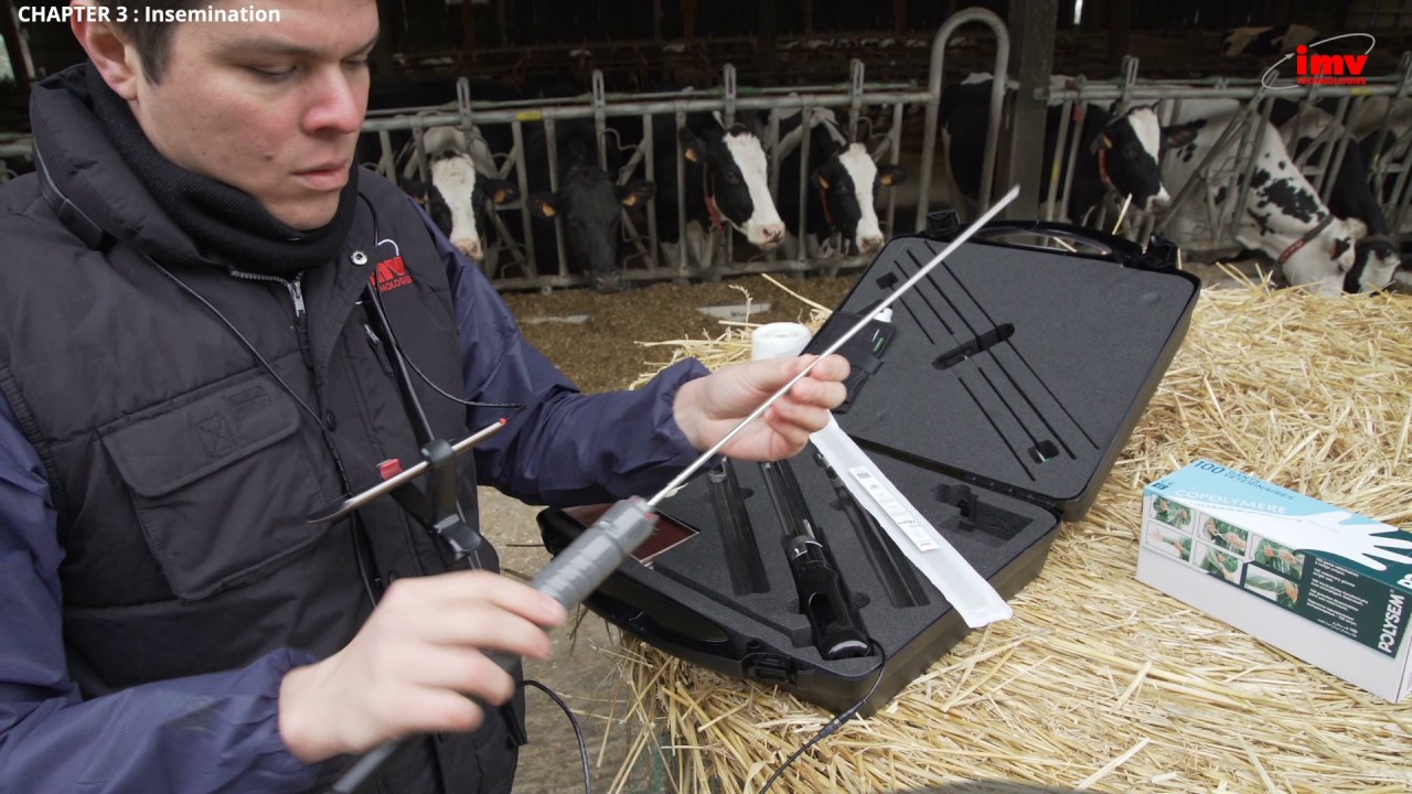 IMV AlphaVision tutorial video - YouTube