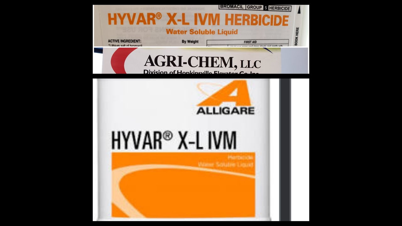 HYVAR X-L IVM HERBICIDE: $130.00/gal #hyvar #expensiveherbicide # ...