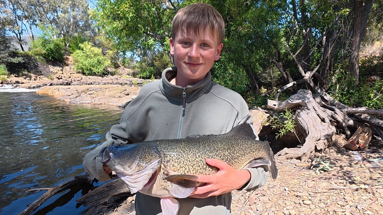 90CM MURRAY COD IN MYRTLEFORD?!?! (Upper Ovens River GIANT) - YouTube
