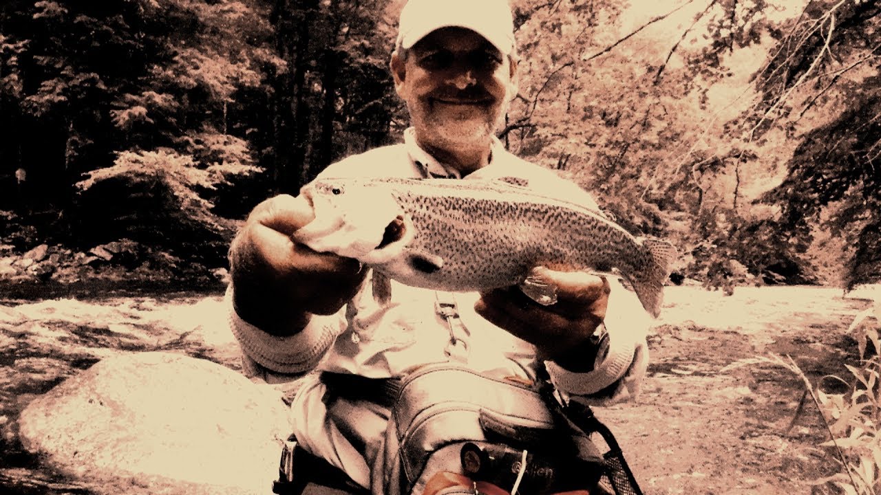 Jiggin' Jerry, Fishing for Trout at Yogi's in Cherokee, NC 2017 - YouTube