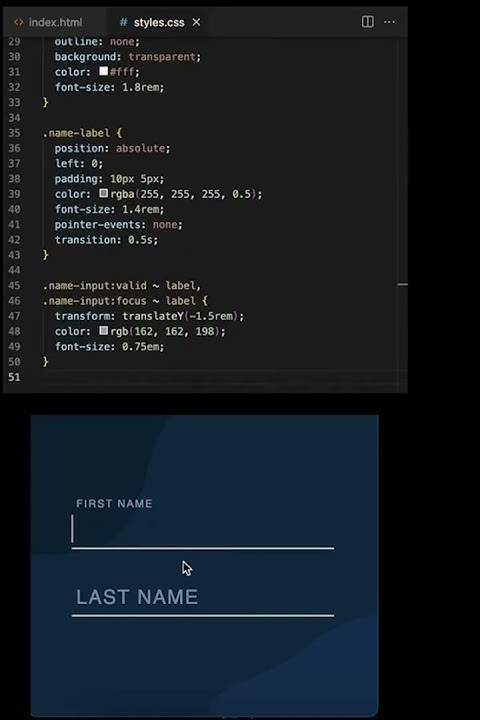 Animated Input Form 🚀🚀 Css Htmlcss Html5 Html5css3 Csstips Animation Programmer Youtube