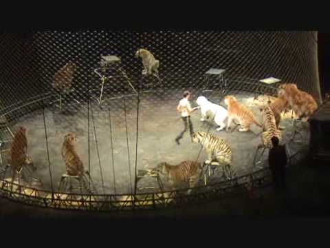 Tiger Act at Ringling Bros Circus - YouTube