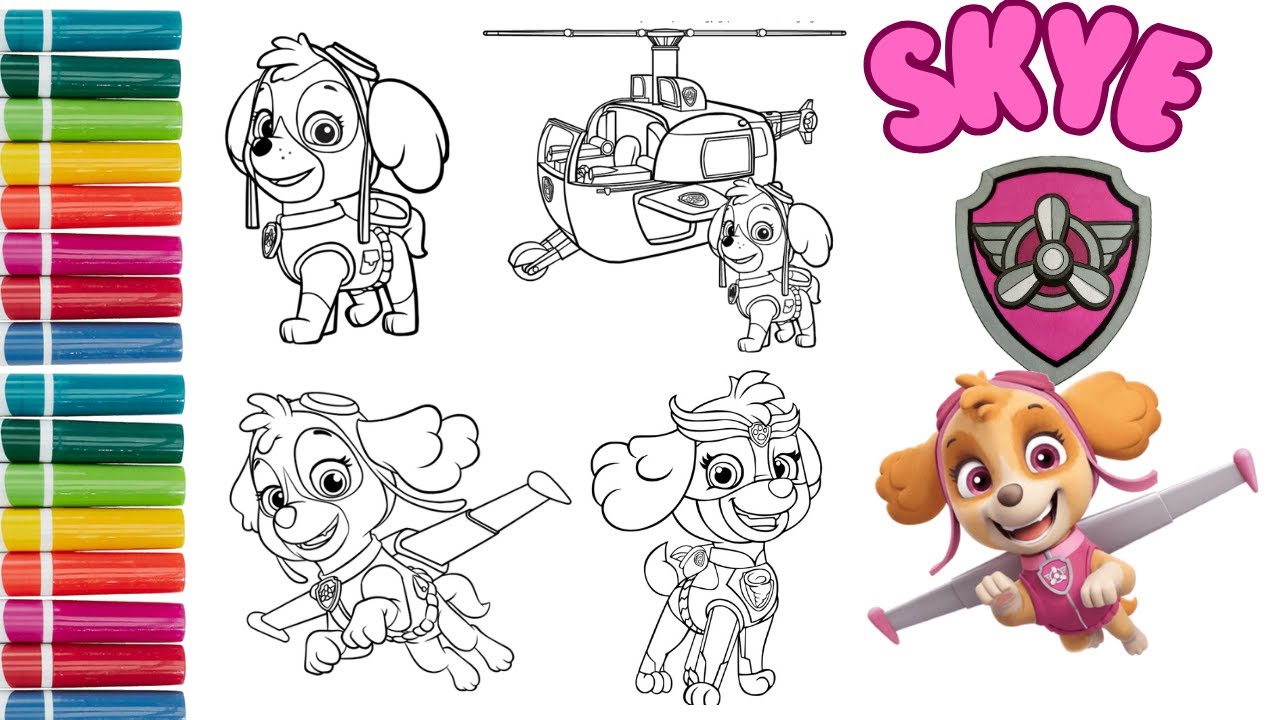 Coloring SKYE from PAW PATROL | Coloring Page Compilation - YouTube