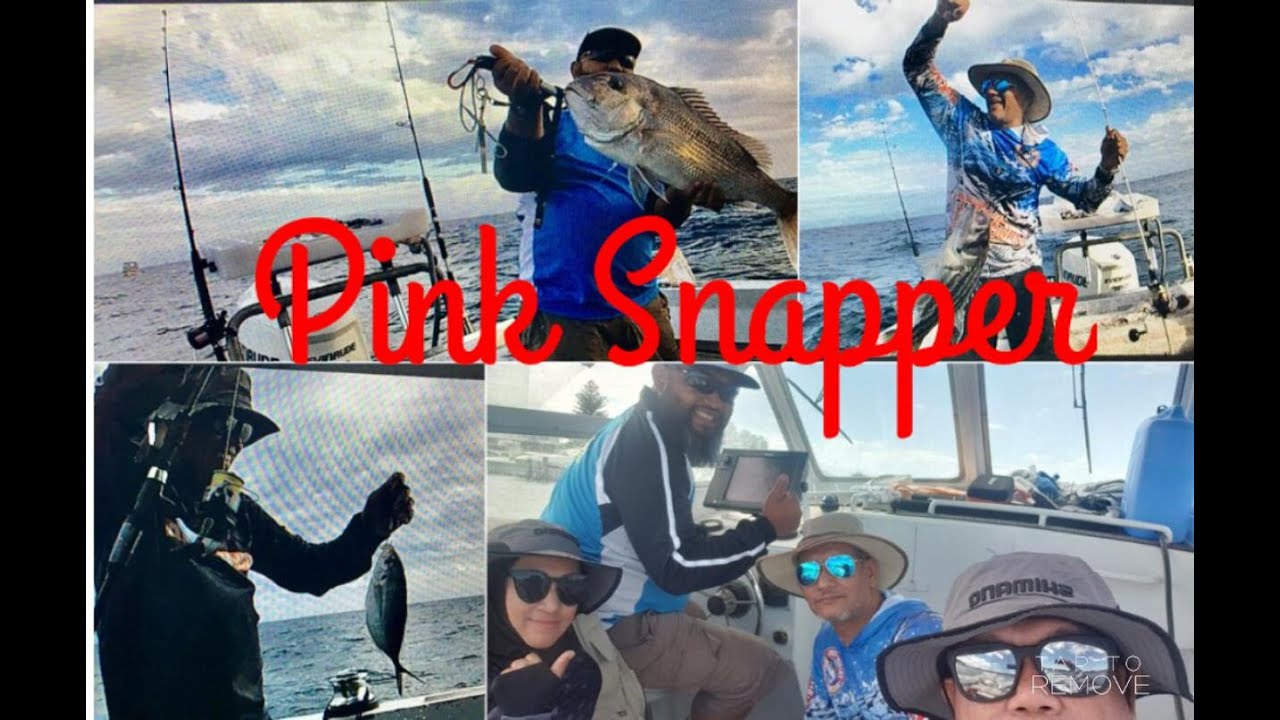 Summer Fishing Trip 2021 | Pink Snapper | Perth | 🇦🇺 Australia - YouTube