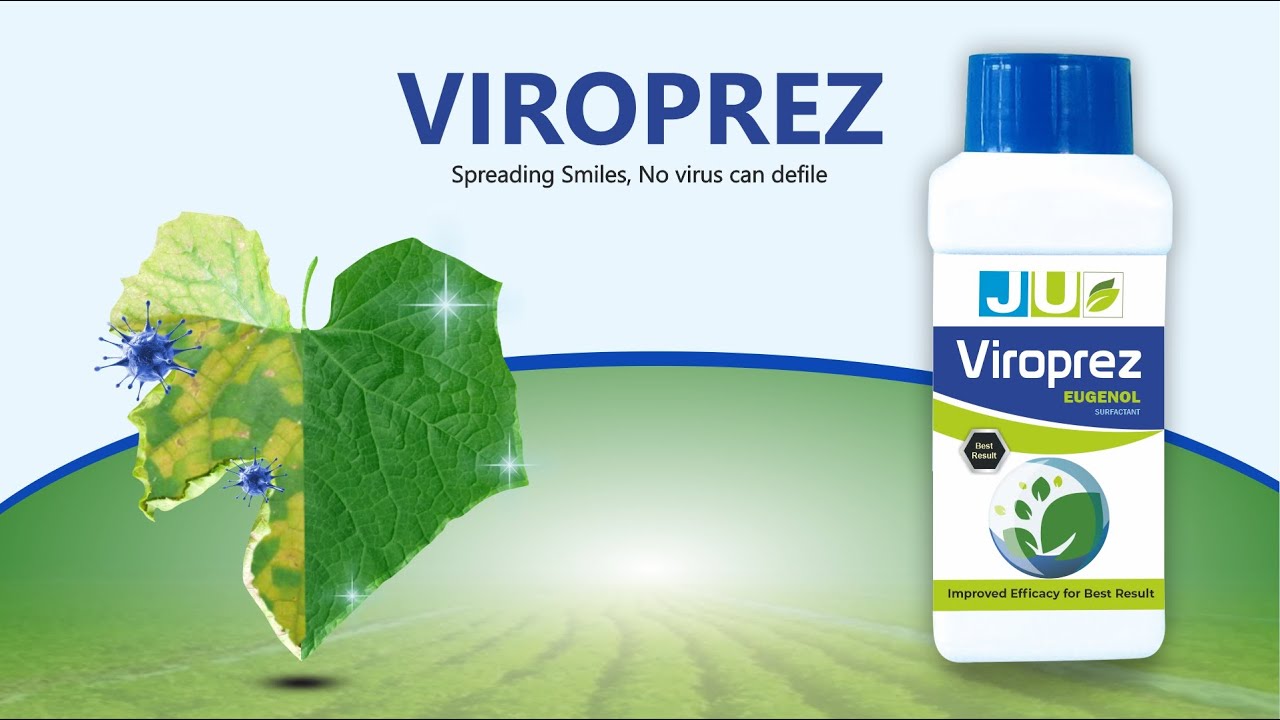 Prevent Crop Damage from Viral Disease | Virus Infection | Mosaic Virus ...