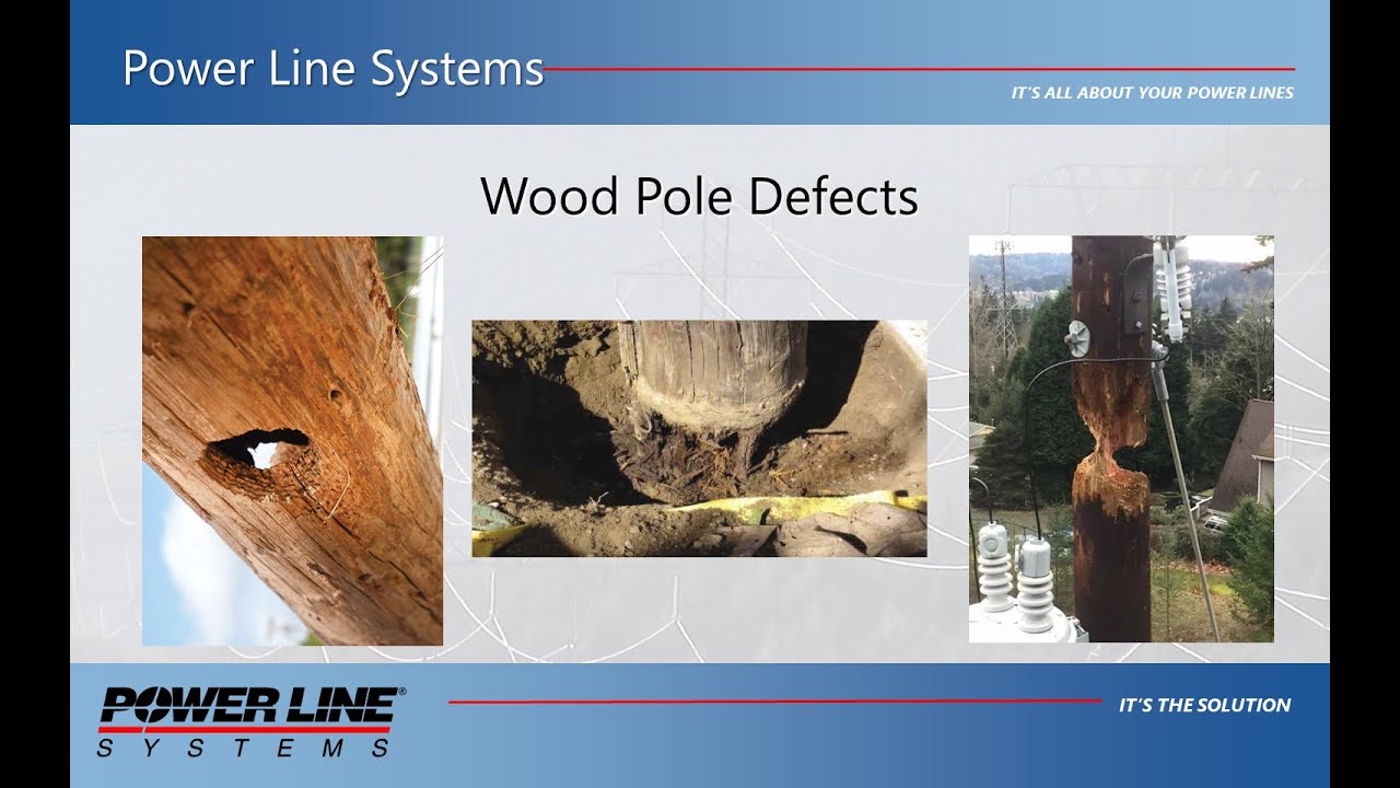 PLS-POLE Wood Pole Defects - YouTube