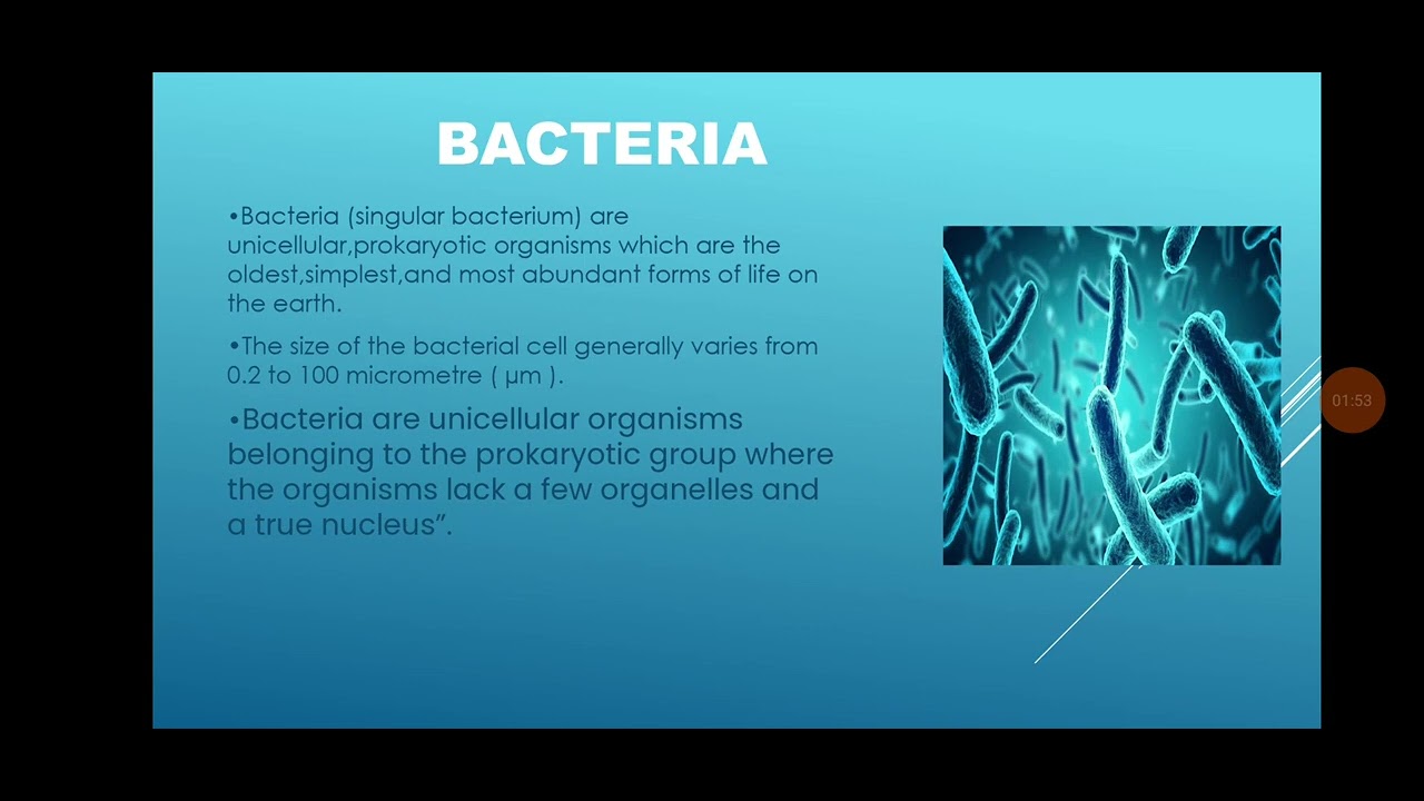 Discovery of microorganisms and study of Bacteria. Class 8th - YouTube
