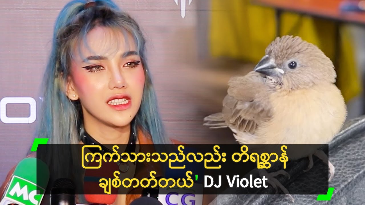 ကြက်သားသည်လည်း တိရစ္ဆာန် ချစ်တတ်တယ်' DJ Violet - YouTube