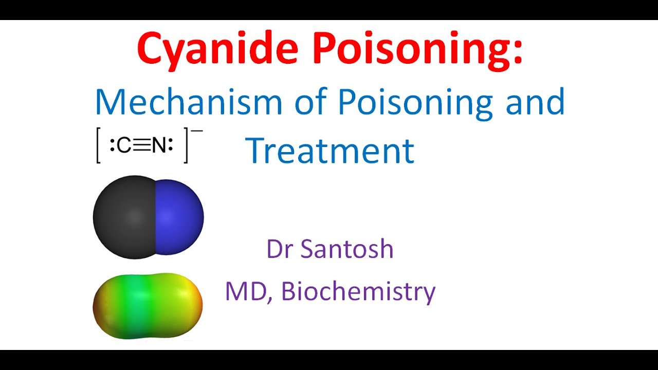 Cyanide Poisoning: Mechanism and Treatment with mnemonic - YouTube