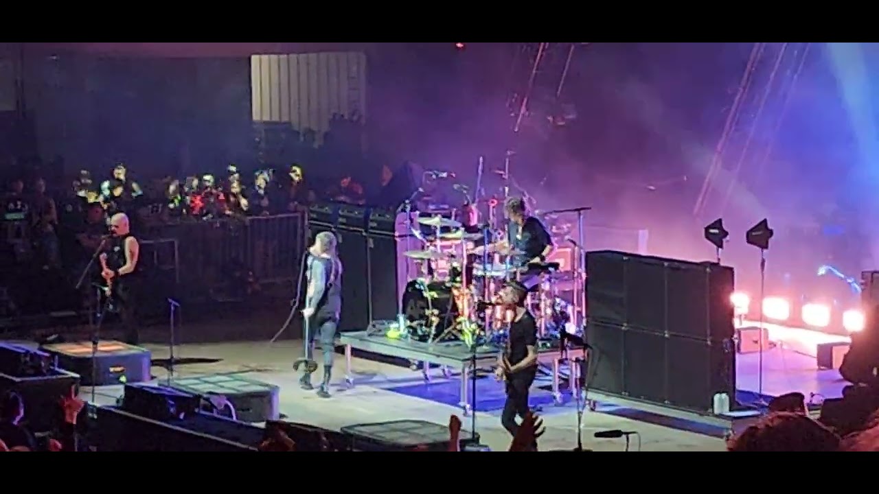 AFI Silver and Cold Live - YouTube