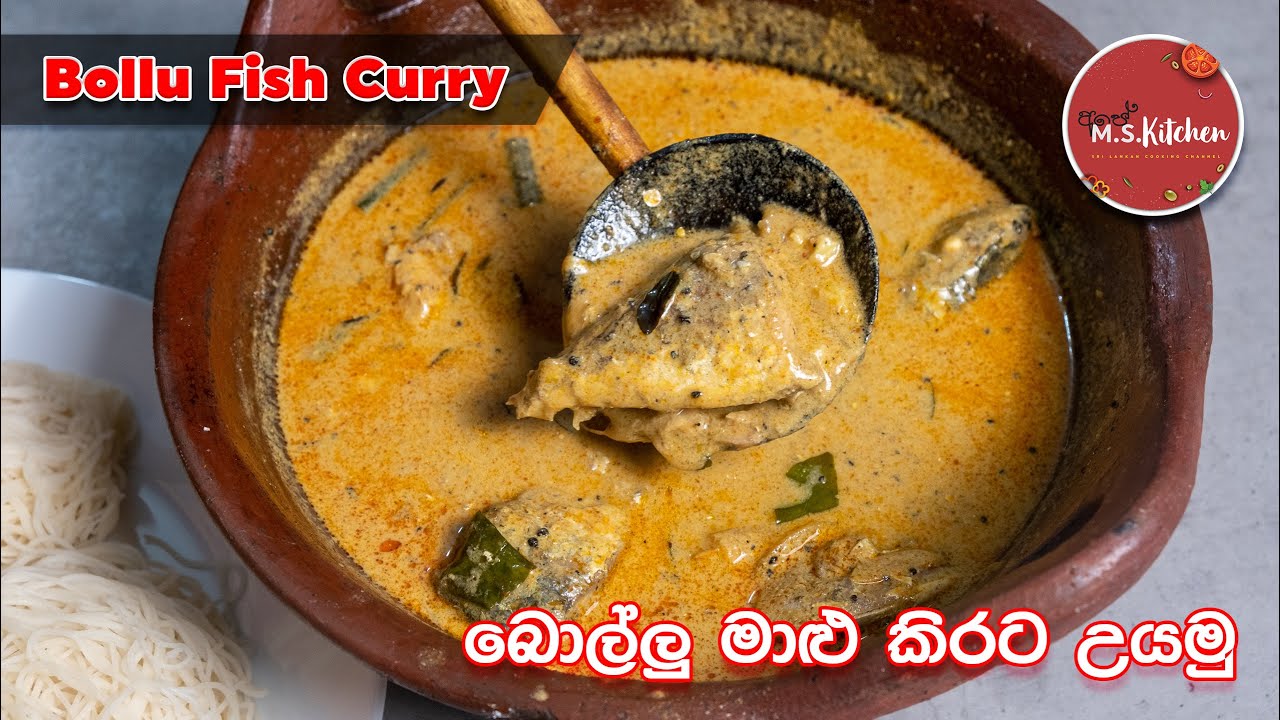 බෝල්ලු මාළු කිරට උයමු | Bolla Malu Curry | Sri Lankan Fish Curry Ape MS ...