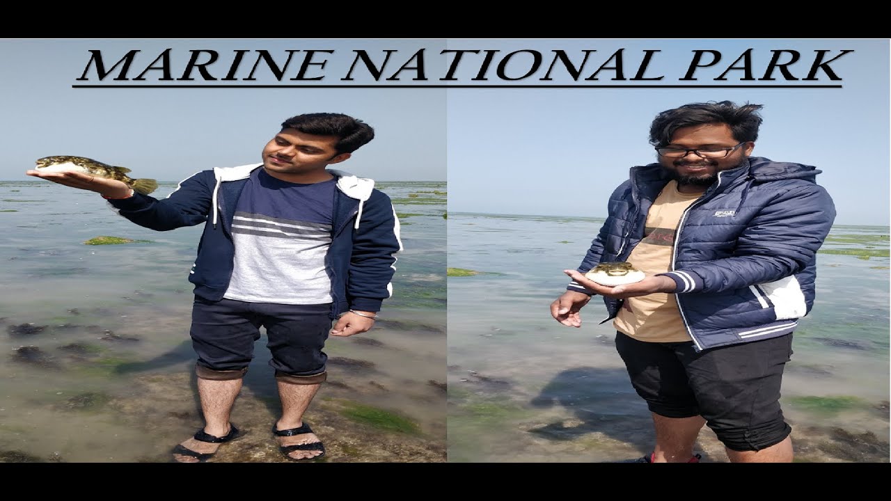 Marine national park || Narara Tapu || Jamnagar || Gujarat|| #Bandiya ...