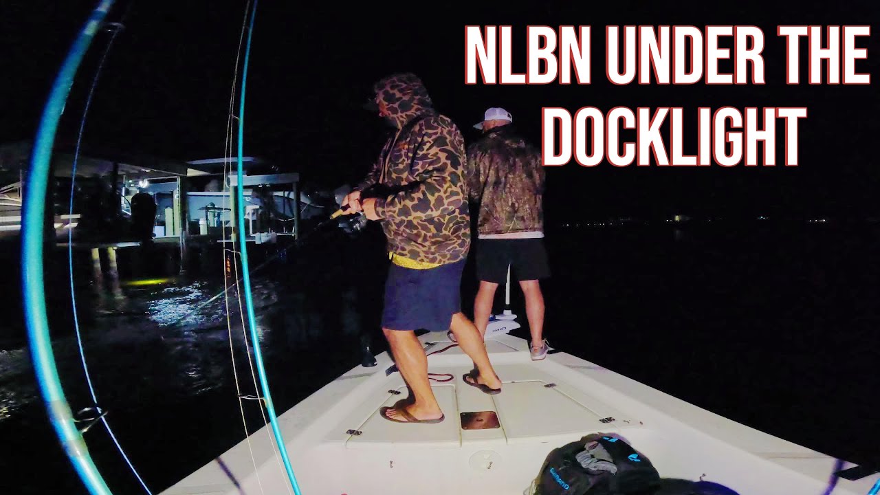 Dock Light Snook Madness! NLBN Lures + Night Bite = INSANE Action ...