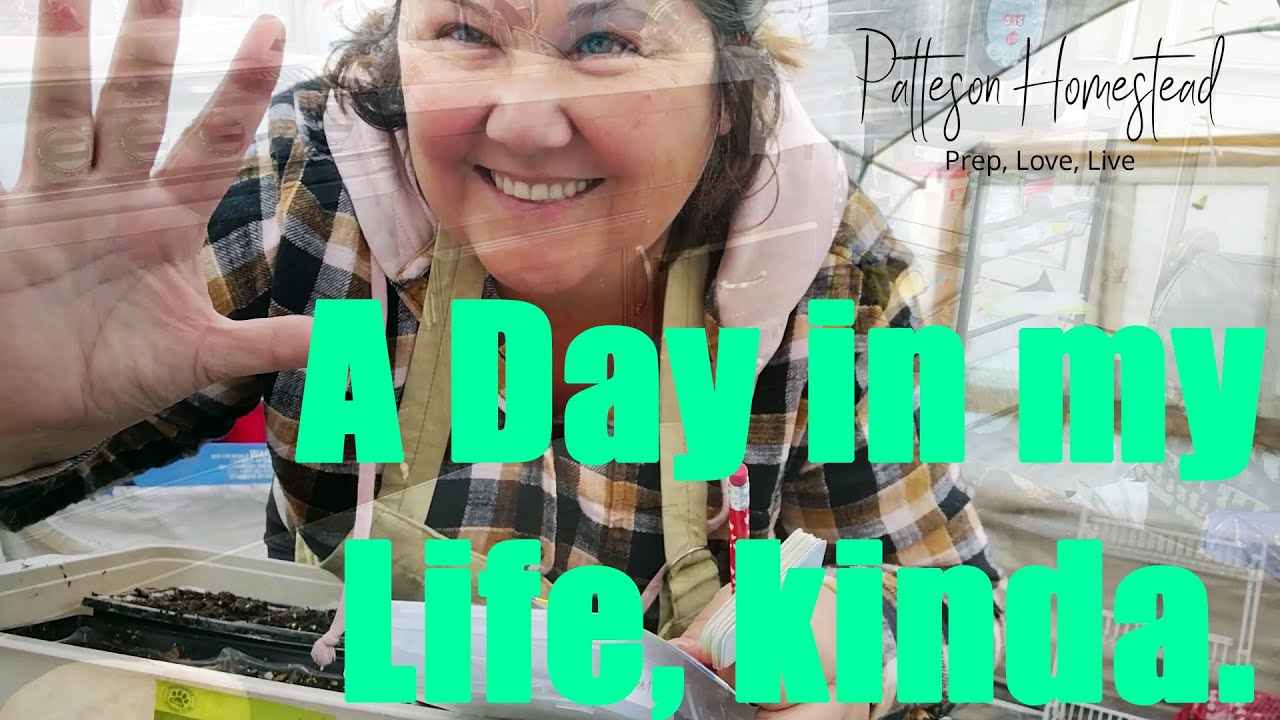 Partial Day in Life - YouTube