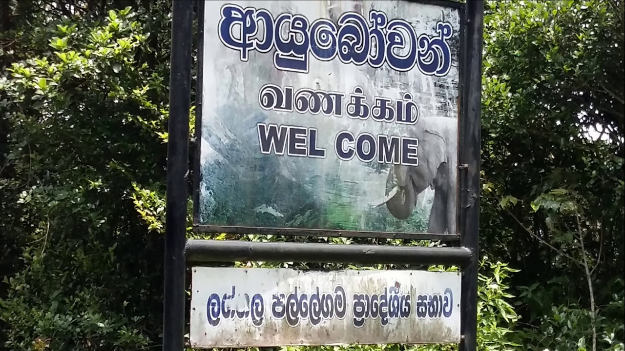 sri lanka riwaston forest - YouTube