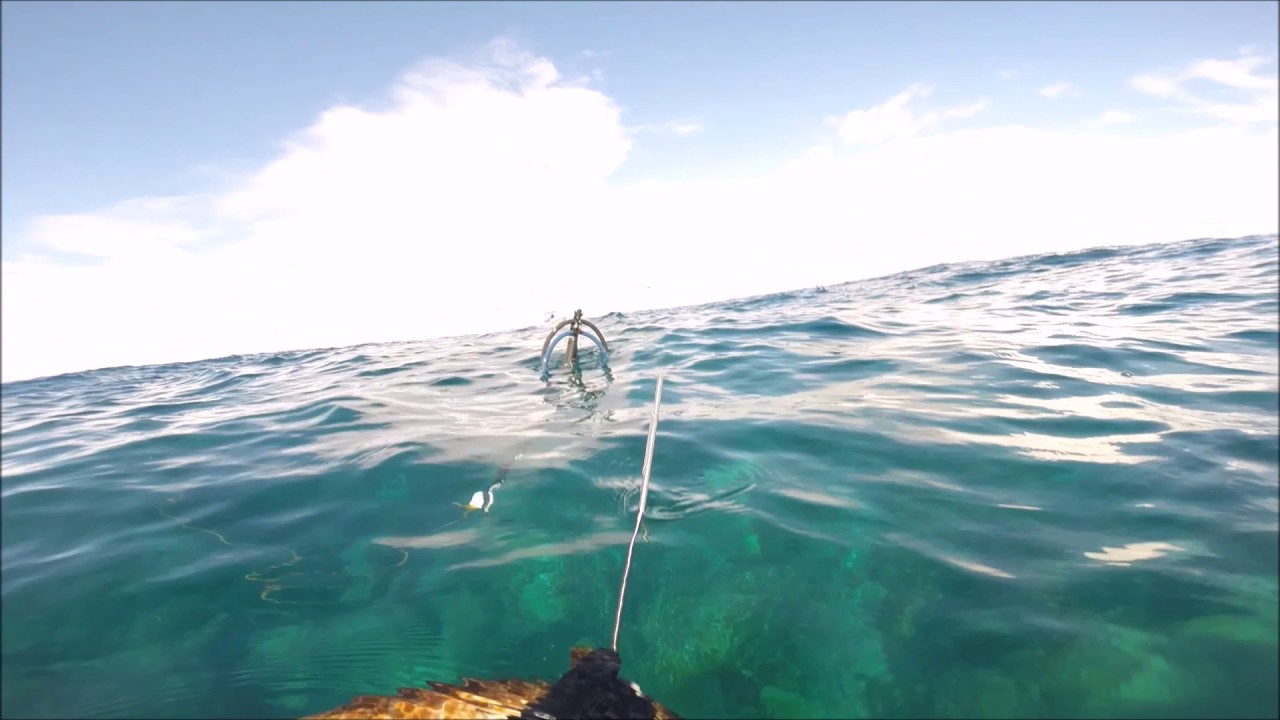 spearfishing - YouTube